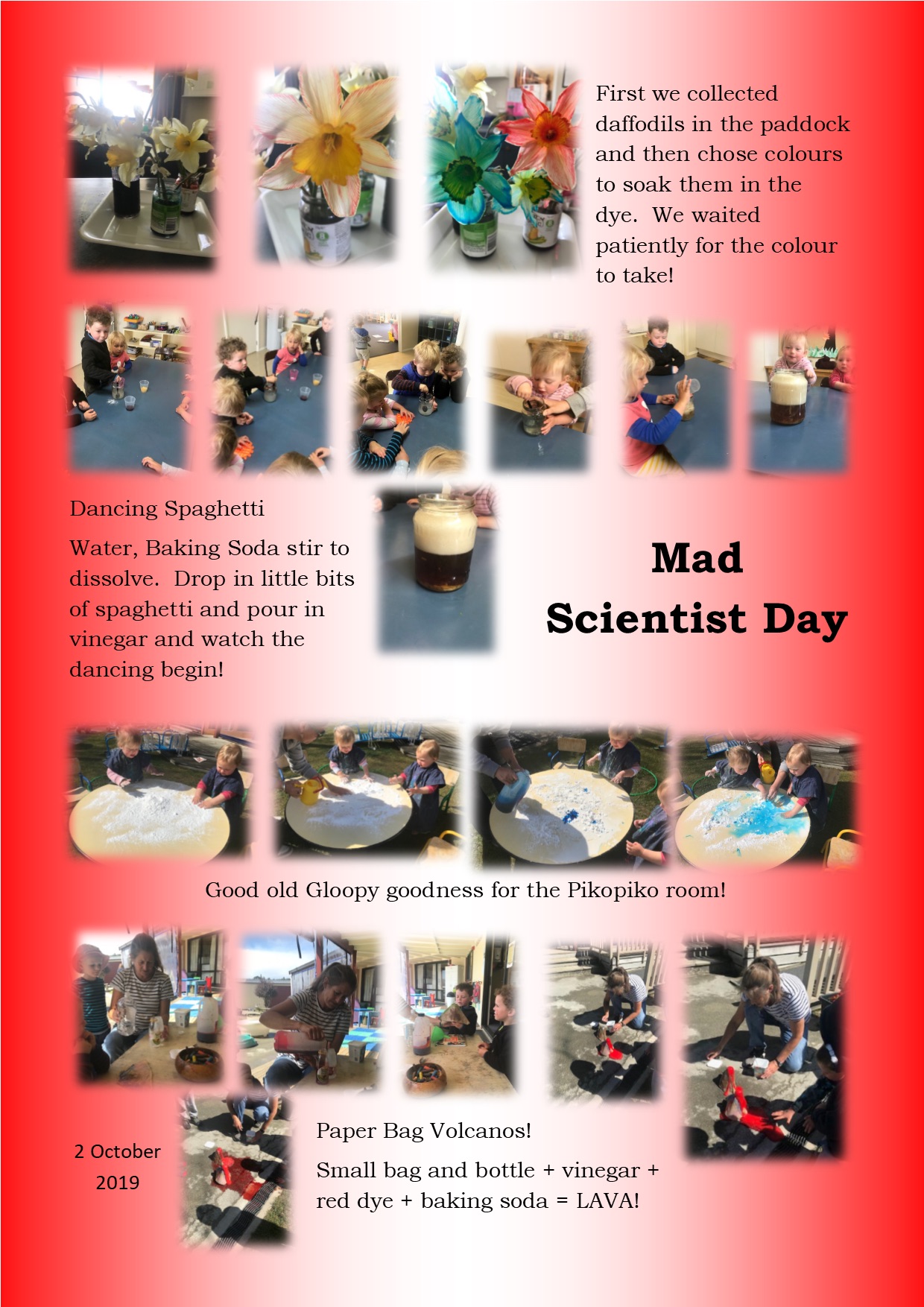 Science Day - Country Kids - Education and Care