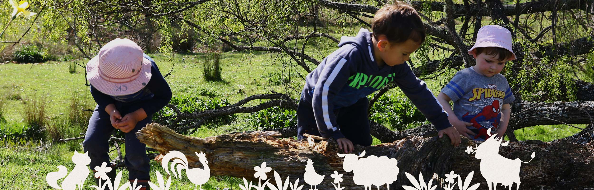 Home - Country Kids - Education and Care, Moutere, New Zealand